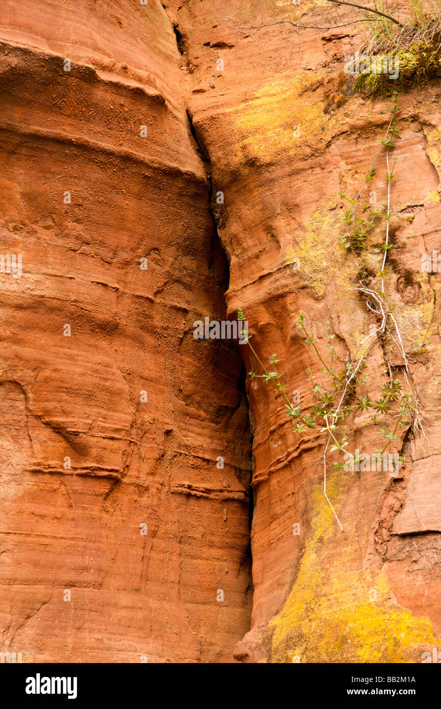 Crevice in sandstone Stock Photo - Alamy