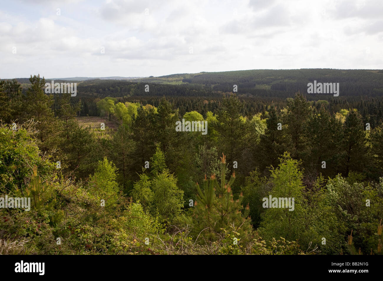 UK Gloucestershire Forest of Dean New Fancy View elevated view over the ...