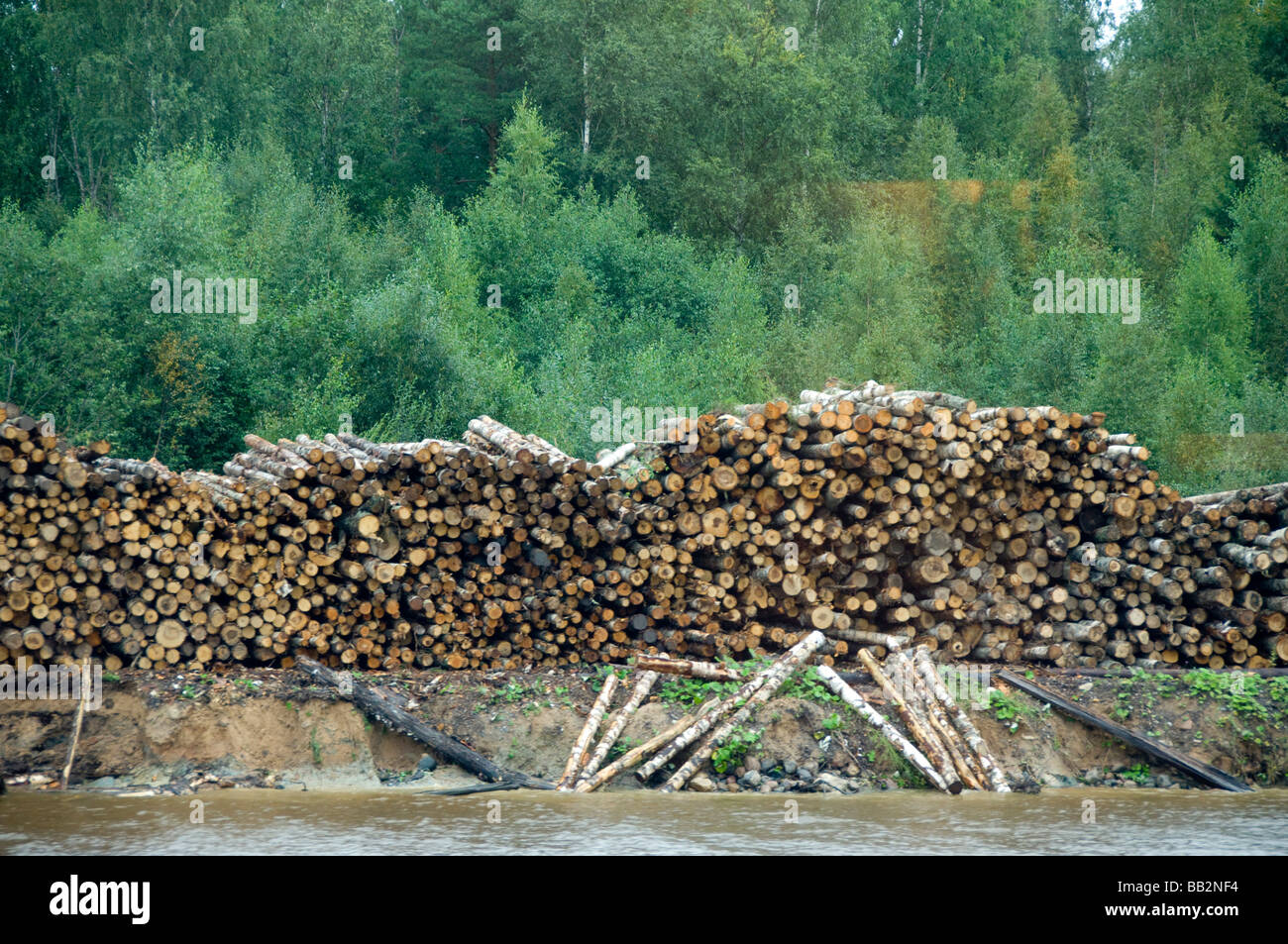 Russia lumber hi-res stock photography and images - Alamy