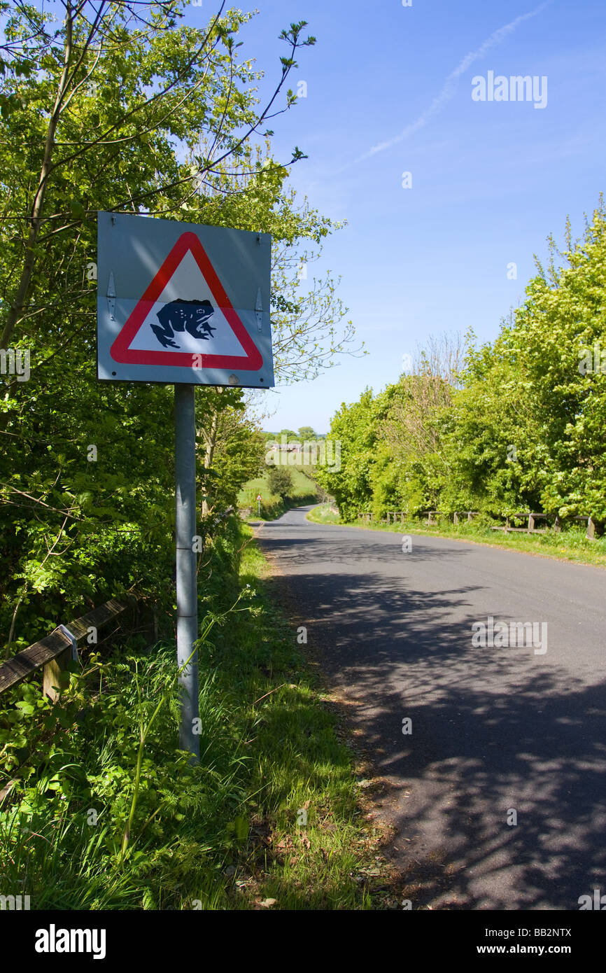 Beware of frogs crossing hi-res stock photography and images - Alamy