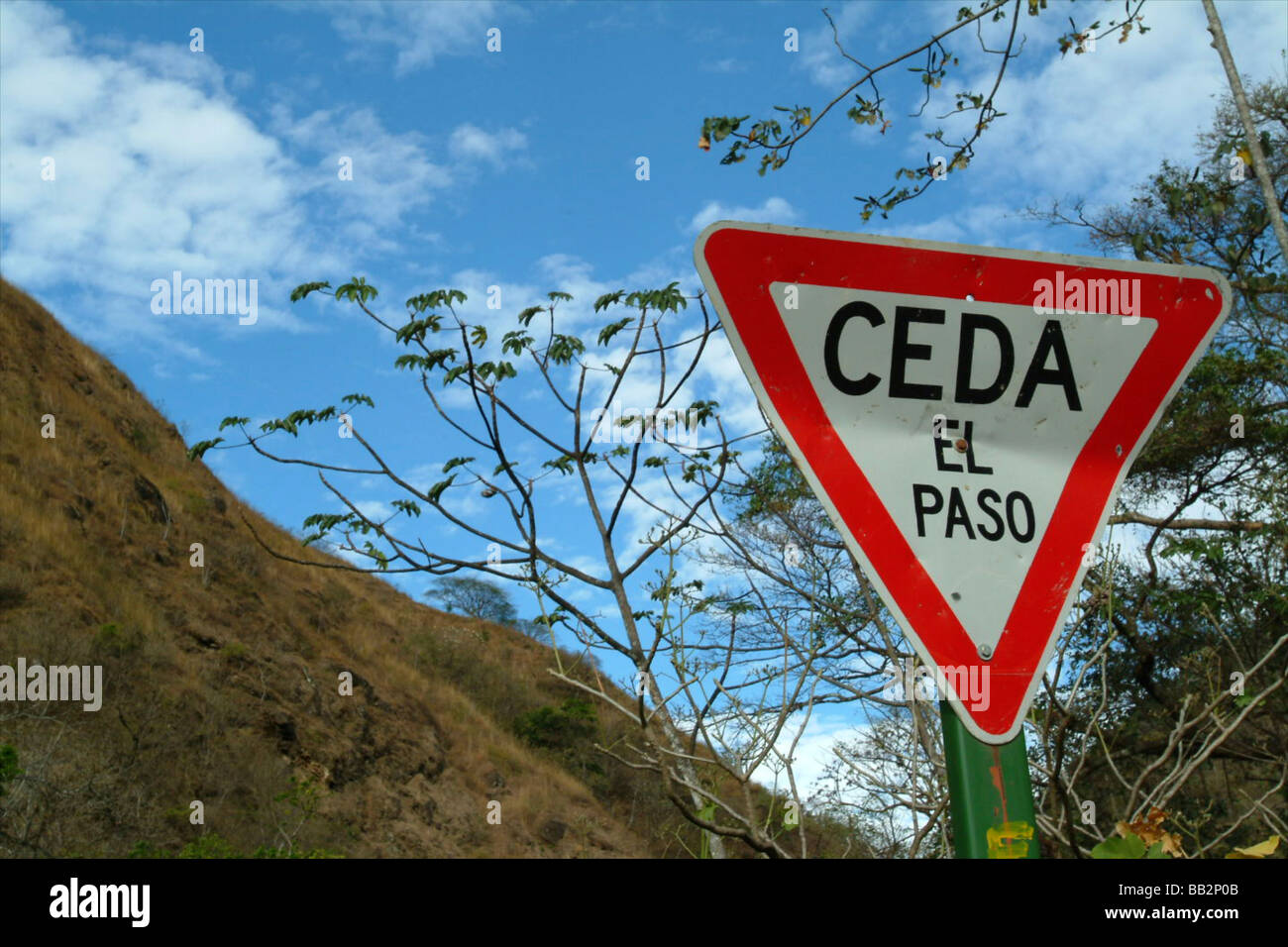 Yield sign in the rain forest, Costa Rica Stock Photo - Alamy