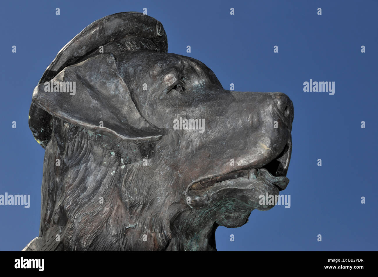 Statue of Bamse largest dog in the Allied Forces World War 2 Stock ...