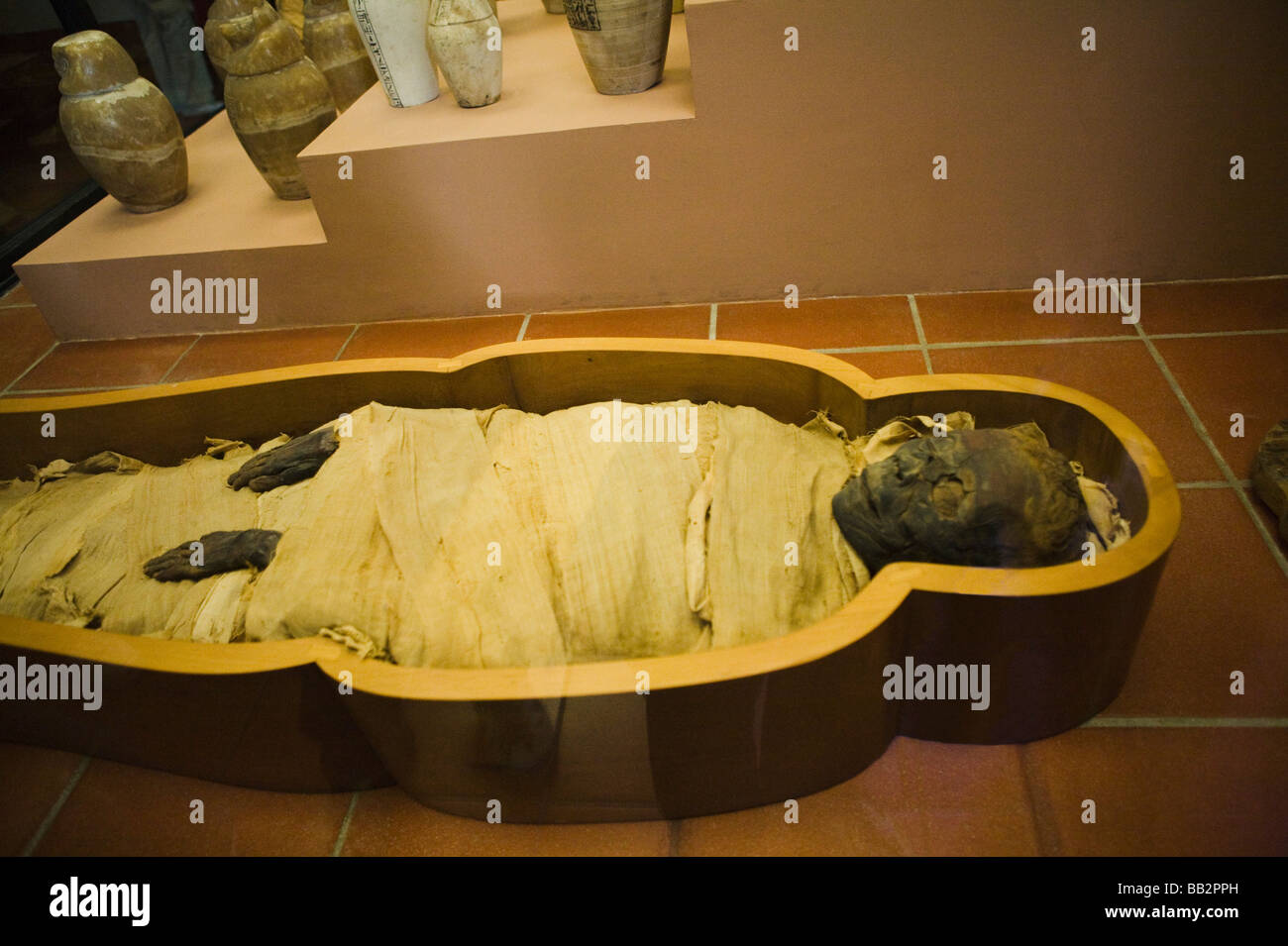 Mummy in coffin; Rome, Italy Stock Photo - Alamy