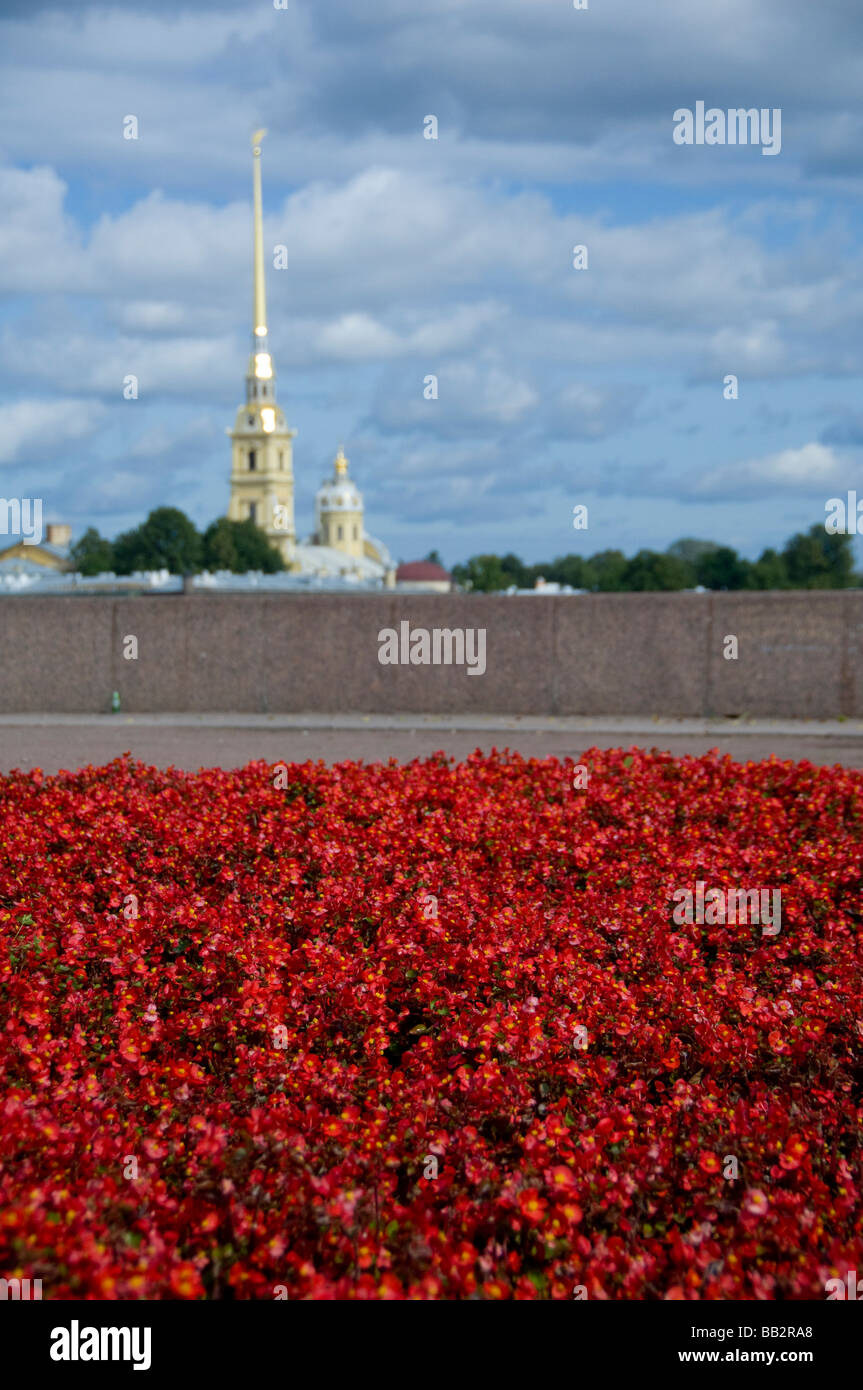 Russia, St. Petersburg, Hare Island, Peter and Paul Fortress, Bell Tower. SS Peter & Paul ...