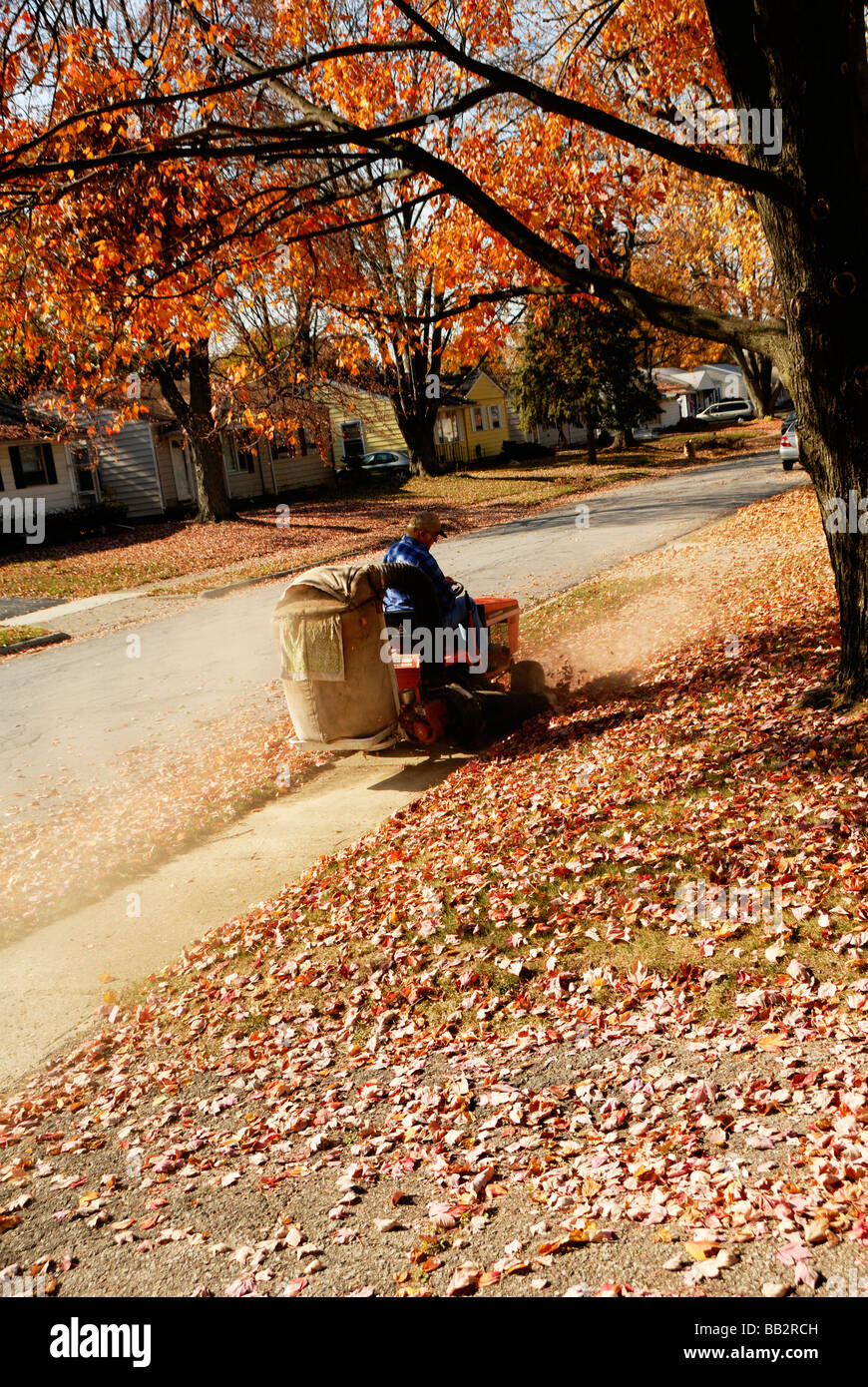 Man on tractor cleaning up leaves with a vacum bagger on back Stock ...
