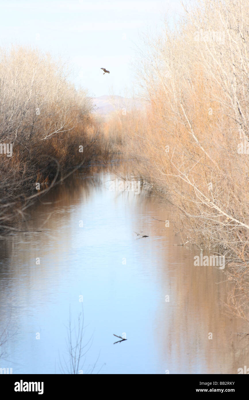 painterly photograph of river at Bosque del Apache, Nature Reserve, New ...