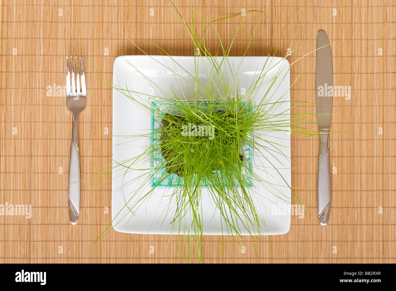 Dieting in style Stock Photo - Alamy