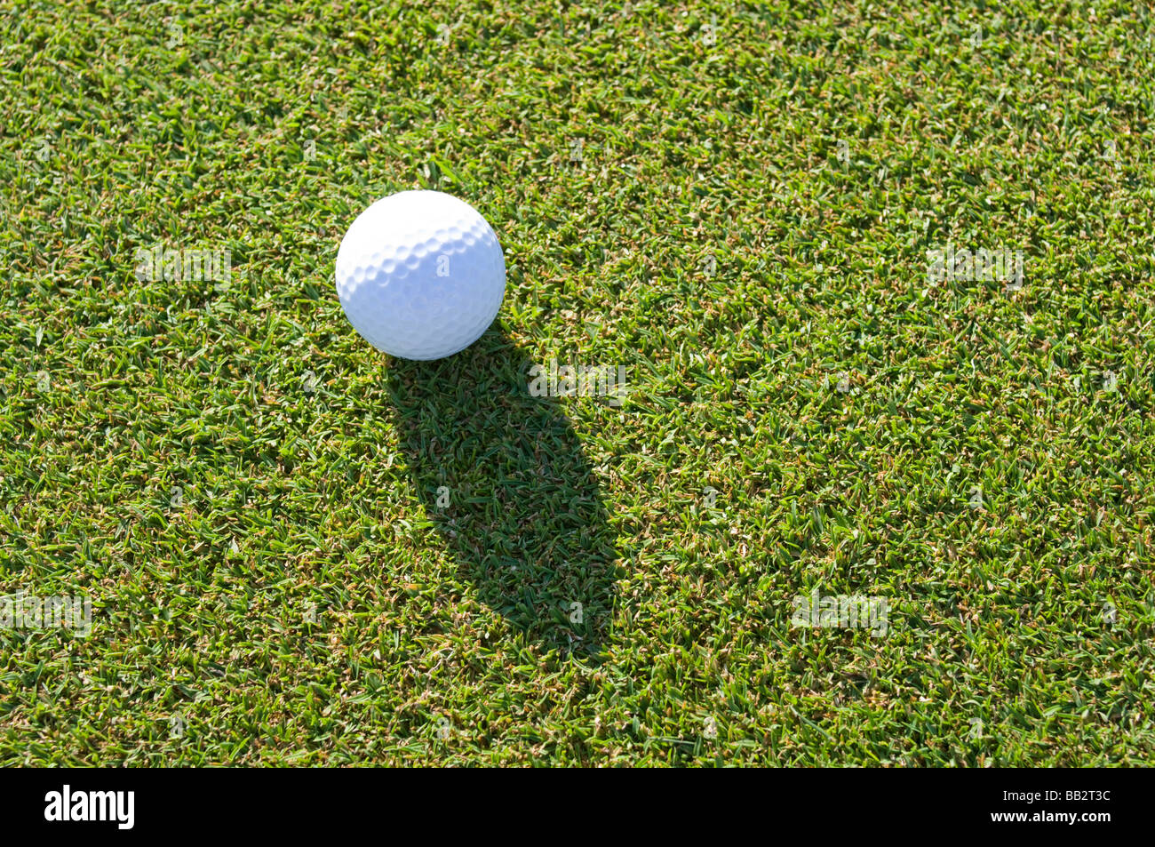 Golf ball on the course Stock Photo - Alamy