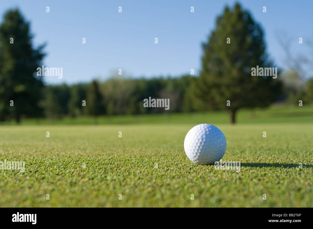 Golf ball on the course Stock Photo - Alamy