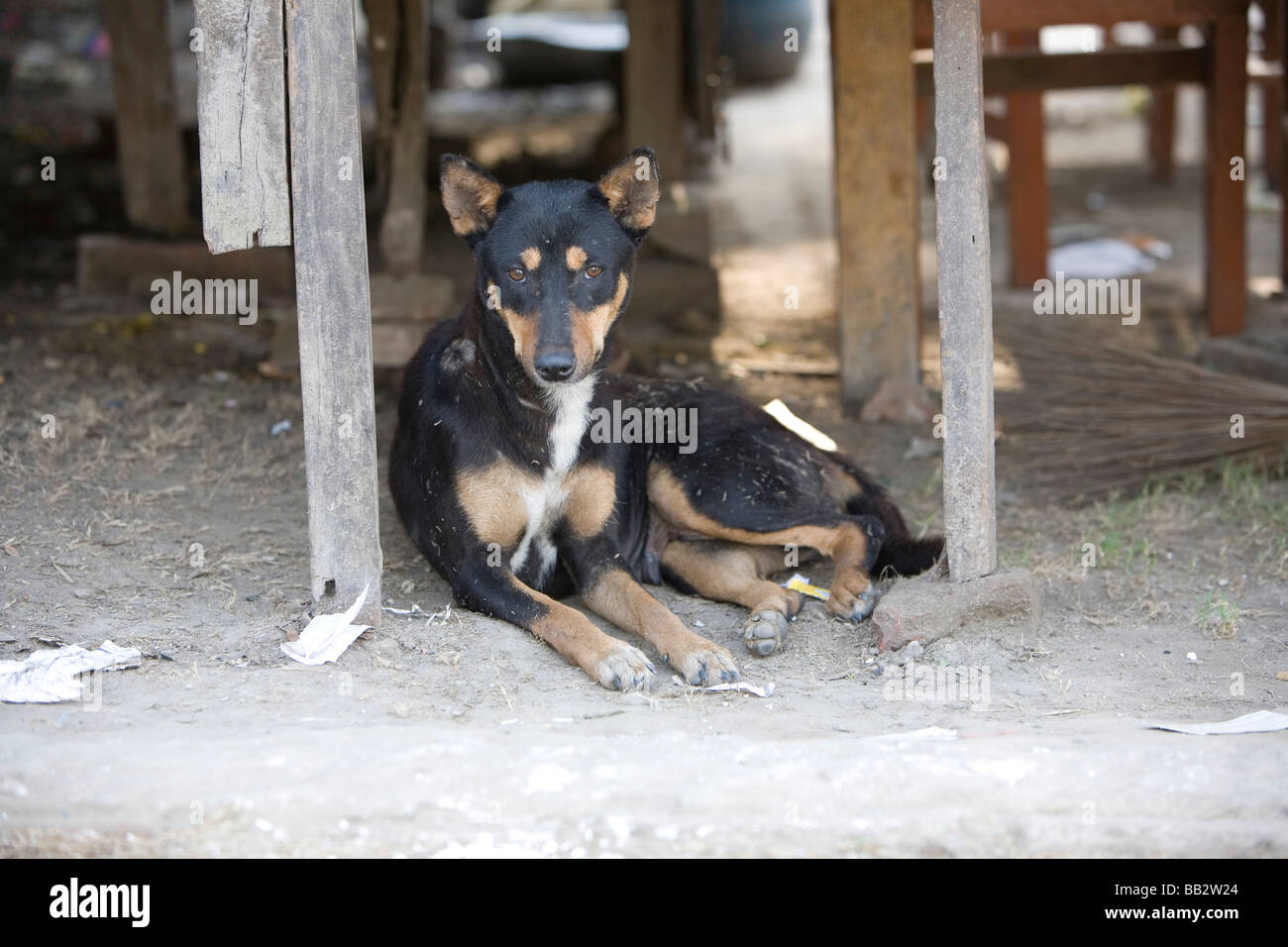 Street bangladesh hi-res stock photography and images - Alamy