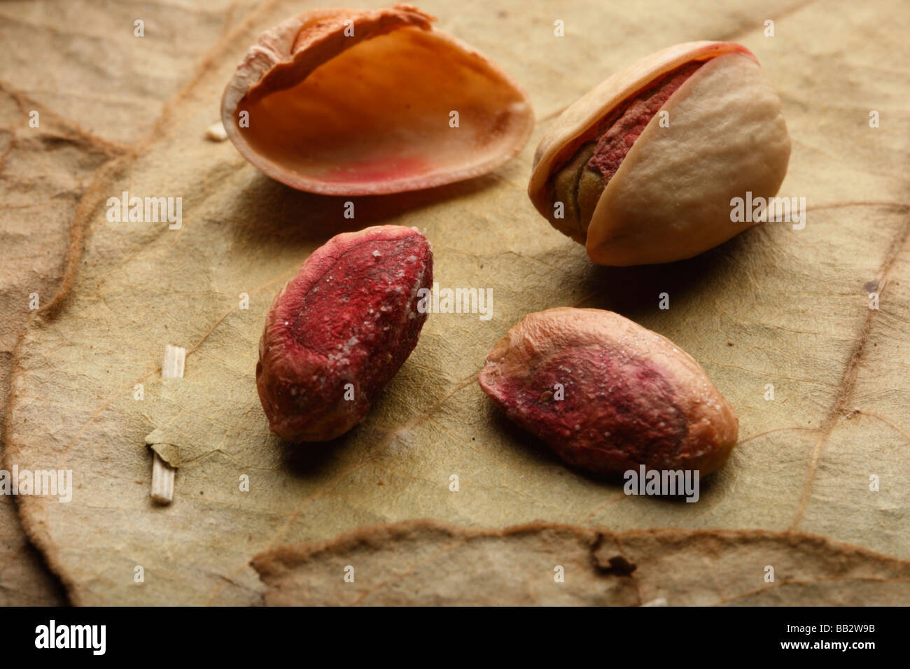 Pista – A dry fruit from mountain areas of middle east Stock Photo - Alamy