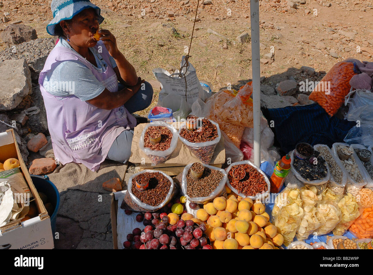 Woman selling dried locusts cicadas and grasshoppers in Mexico to be ...