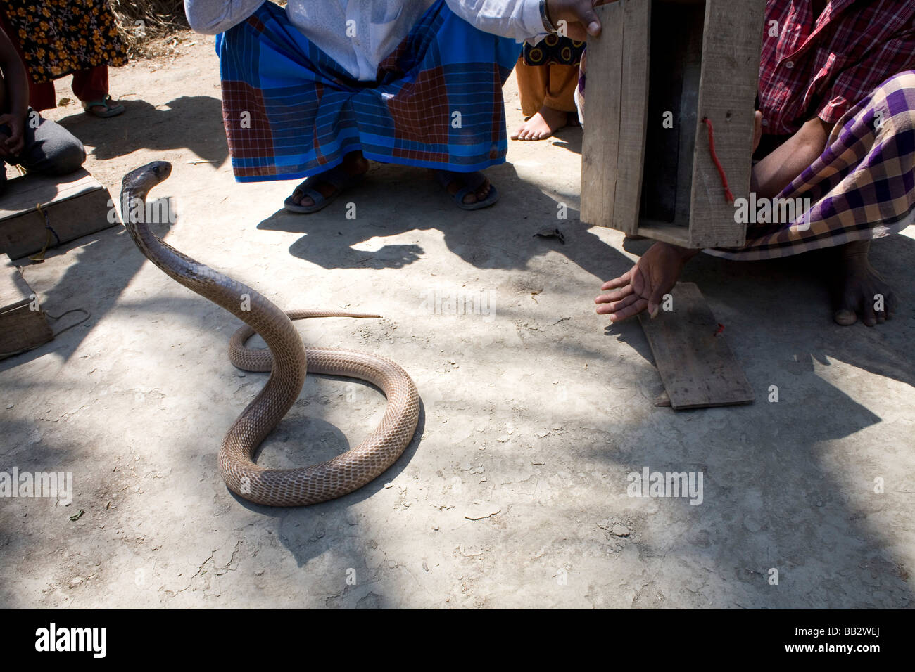 Snake charmer bangladesh hi-res stock photography and images - Alamy