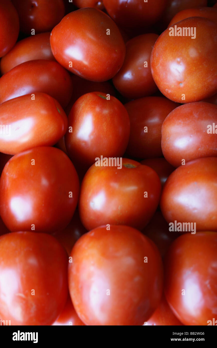 Tomato - is a typically red fruit Stock Photo - Alamy