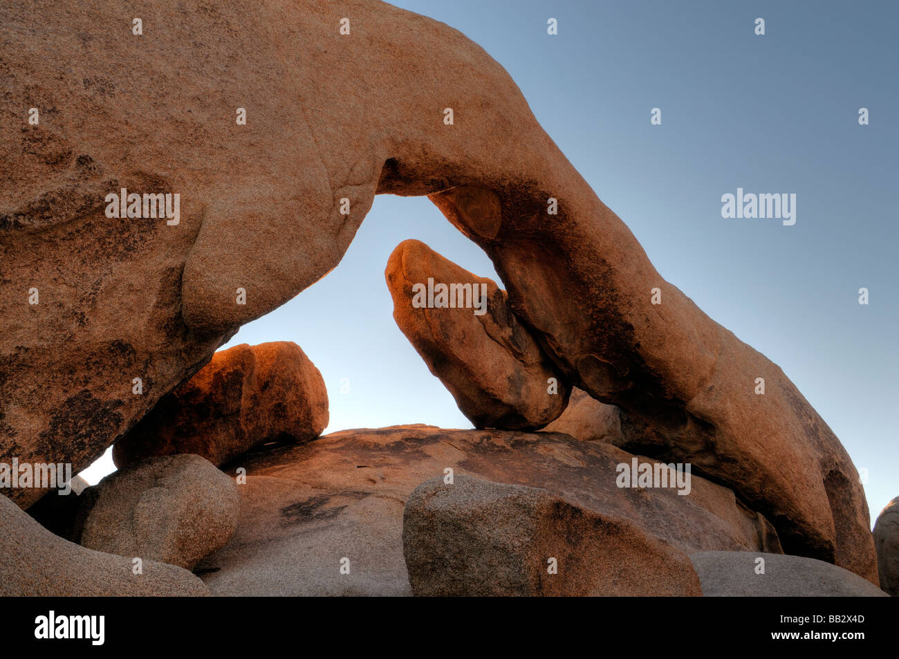 Rock weathering tree hi-res stock photography and images - Alamy
