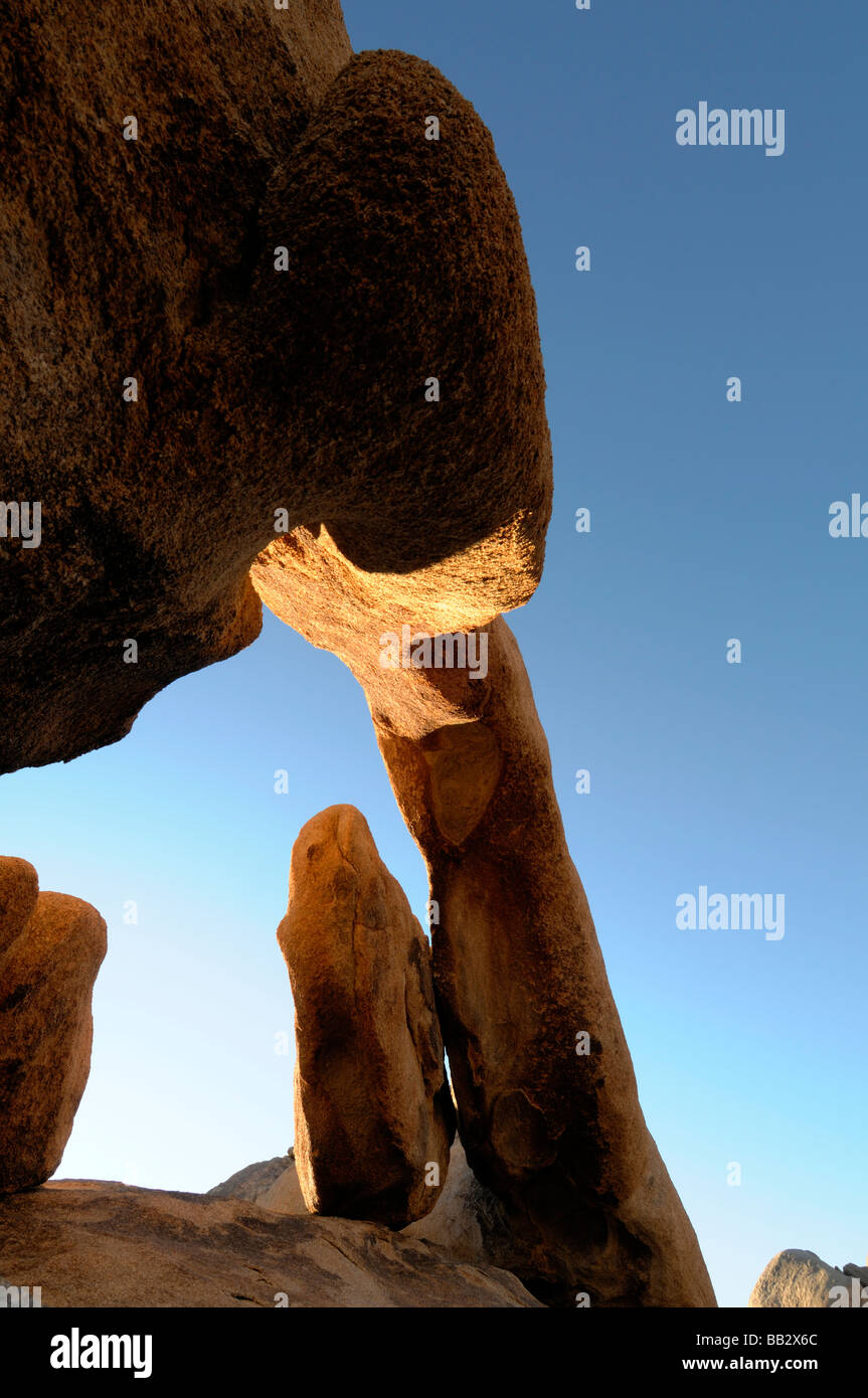 Rock weathering tree hi-res stock photography and images - Alamy