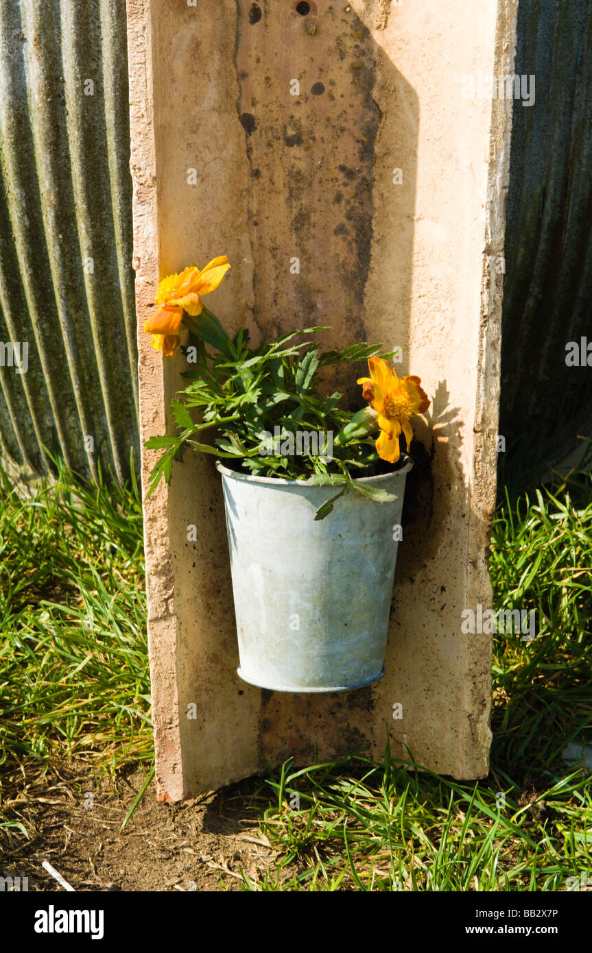 Flower pot at a gardening show Stock Photo - Alamy