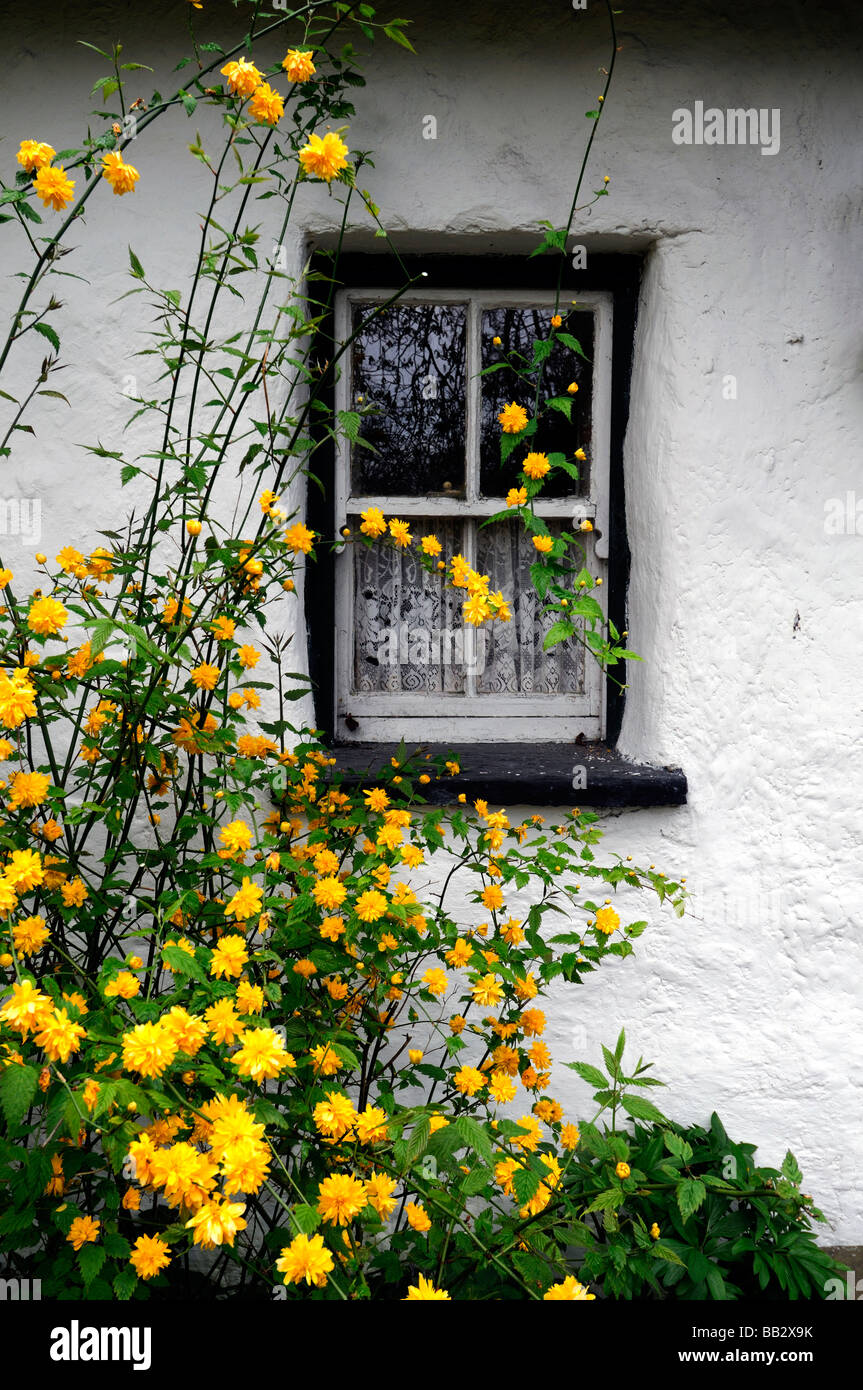 white cottage stone wall window frame white painted traditional stone ...
