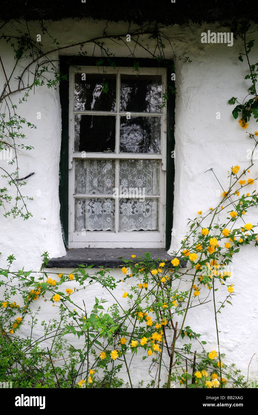 white cottage stone wall window frame white painted traditional stone ...