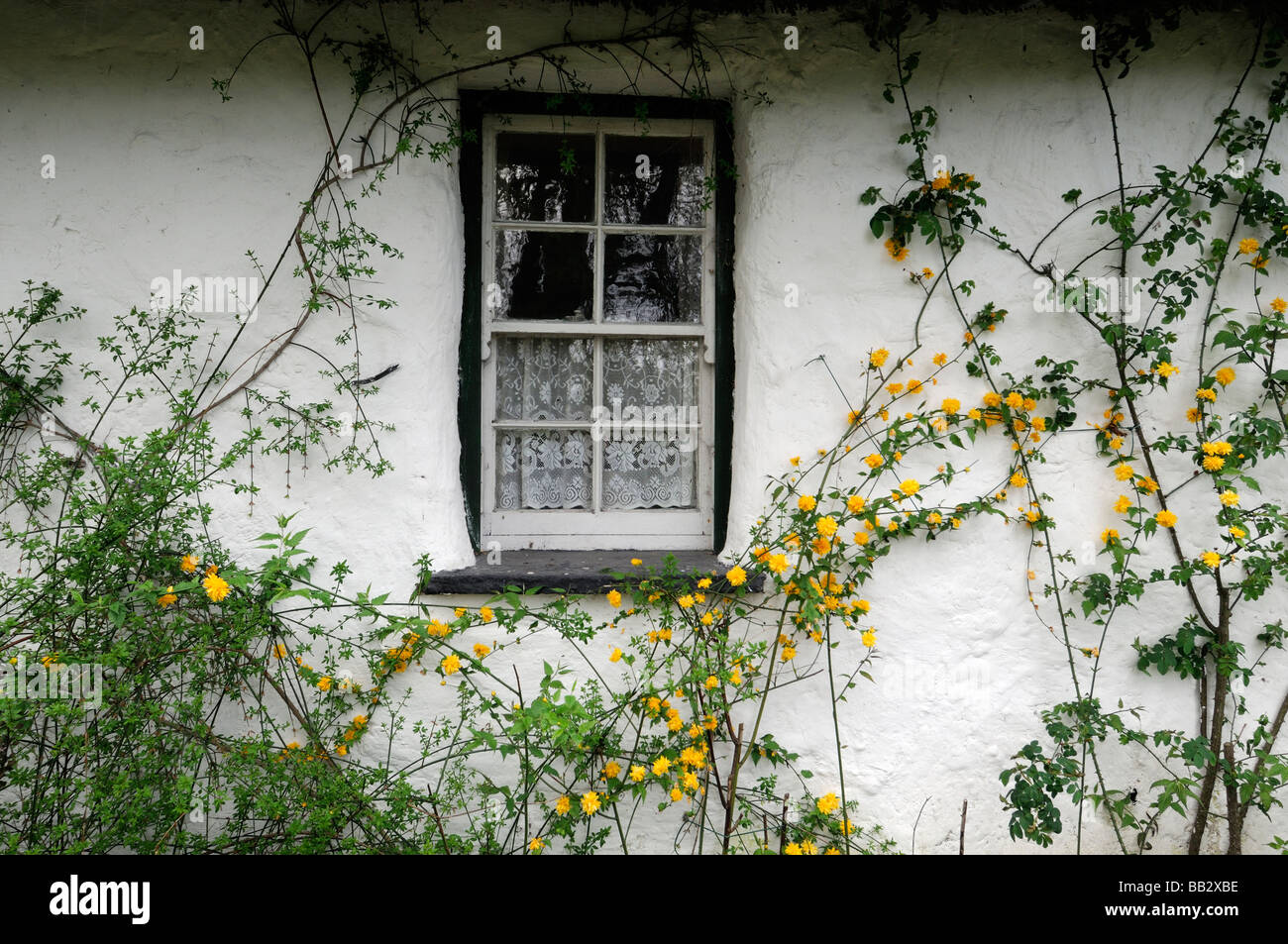 white cottage stone wall window frame white painted traditional stone ...
