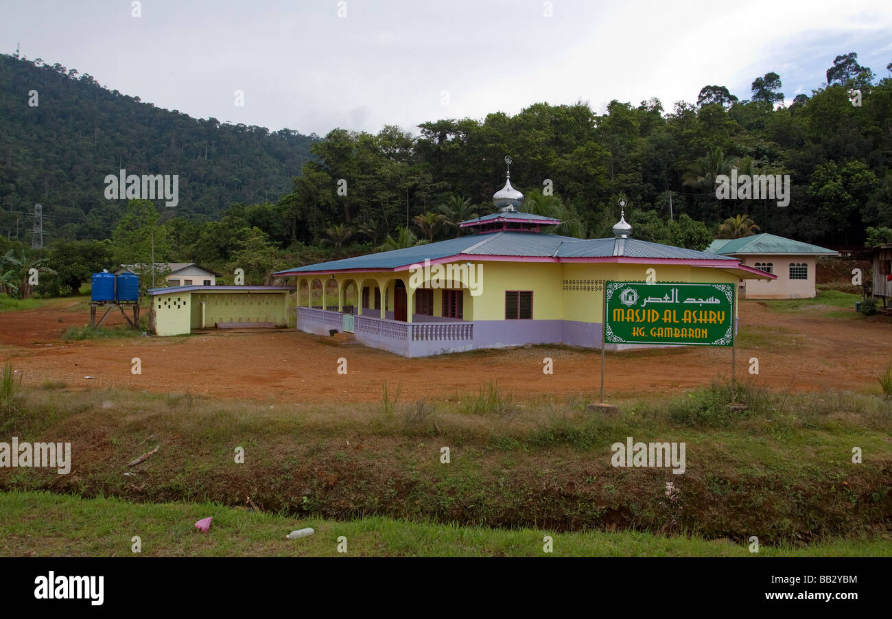 Telupid sabah malaysia hi-res stock photography and images - Alamy