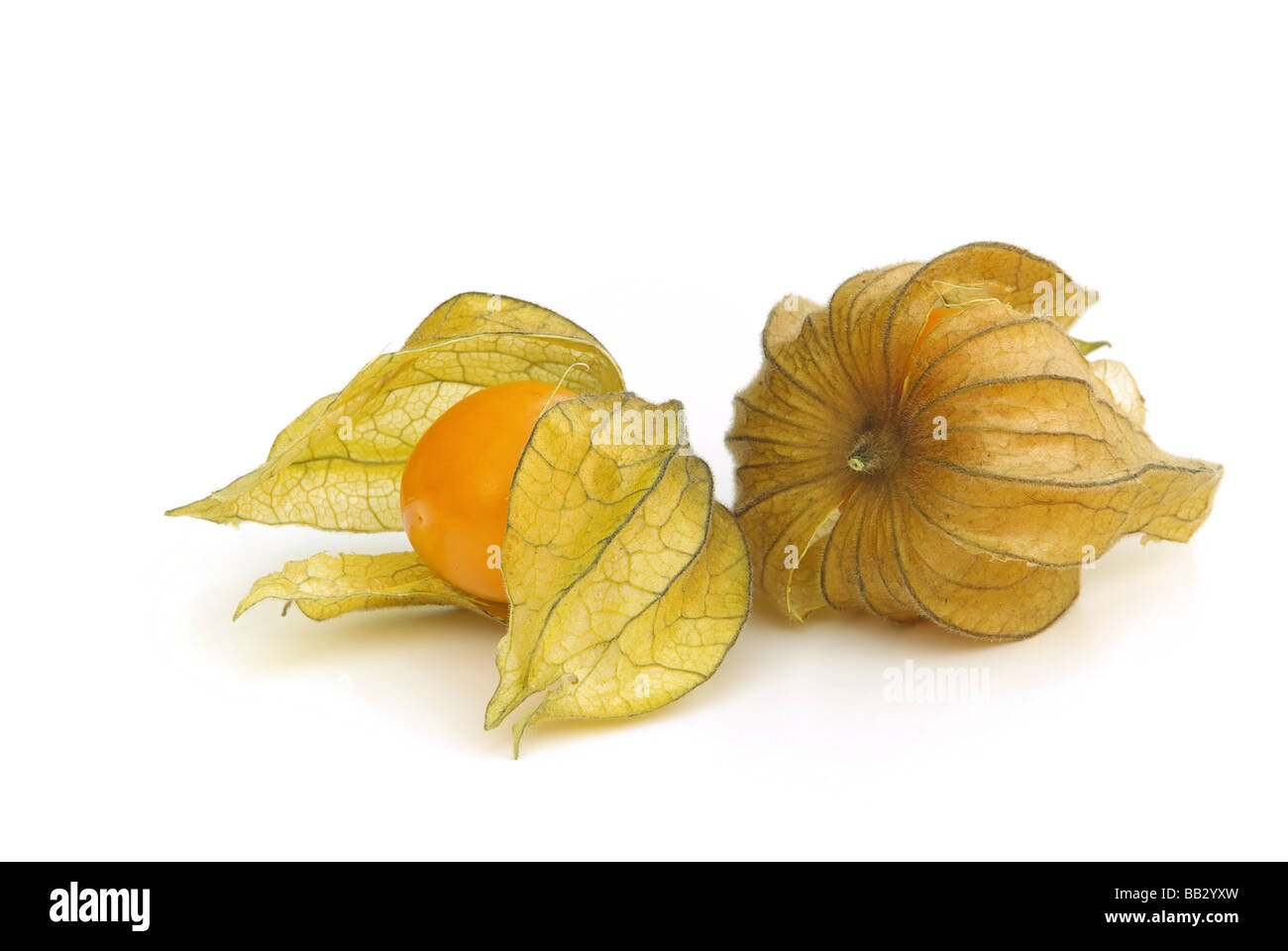 Small Round Fruits Cut Out Stock Images & Pictures - Alamy