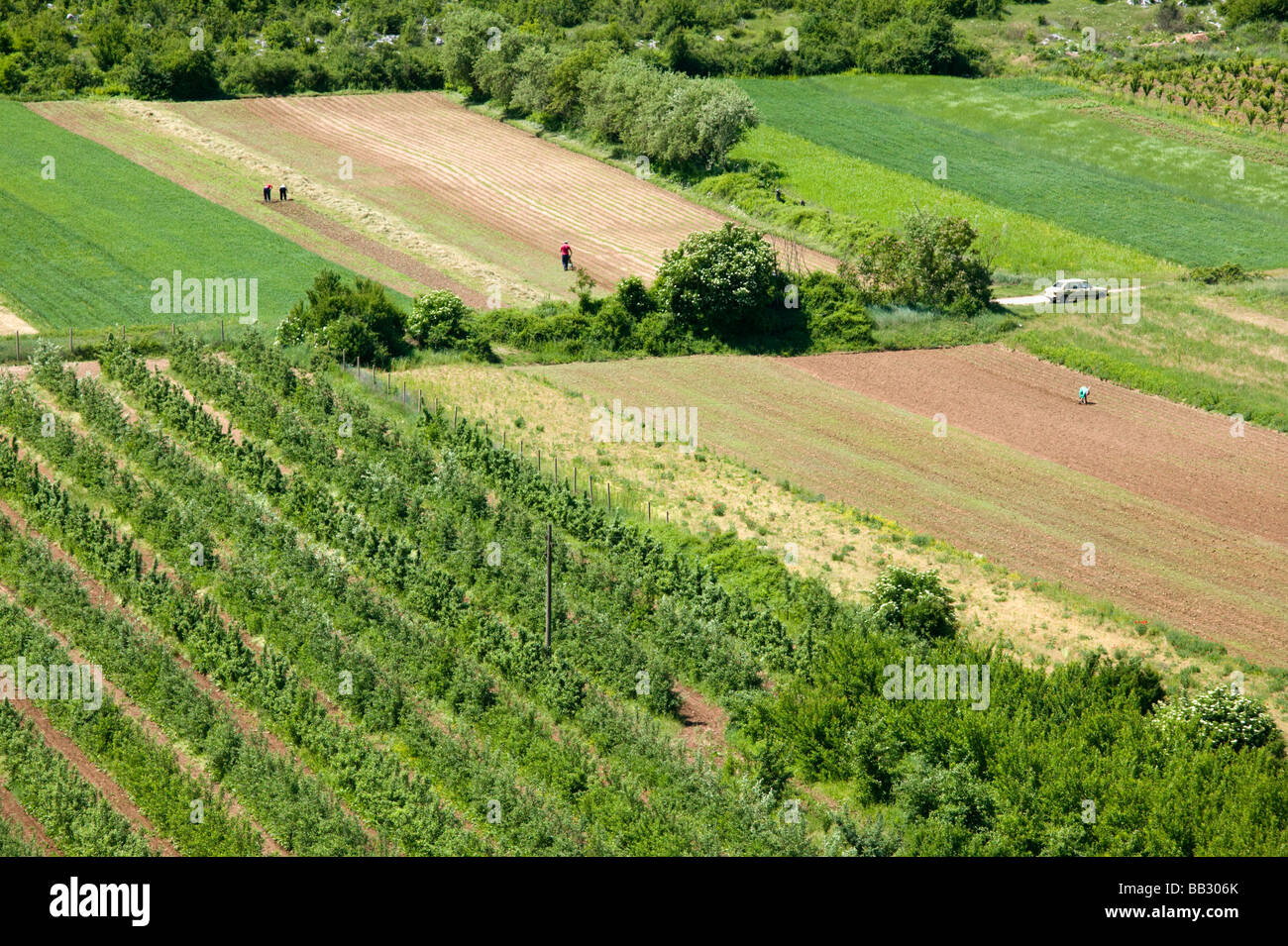 Bosnia-Hercegovina -Ljubinje. Bosnian Fields in Republika Serbska ...