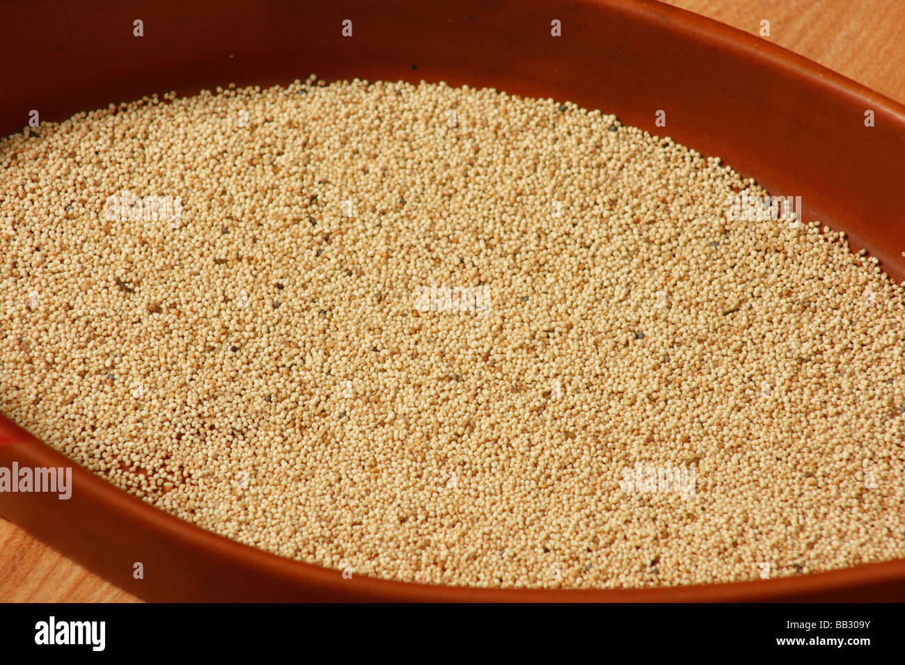 Poppy seed is an oilseed obtained from the opium poppy and its origin ...