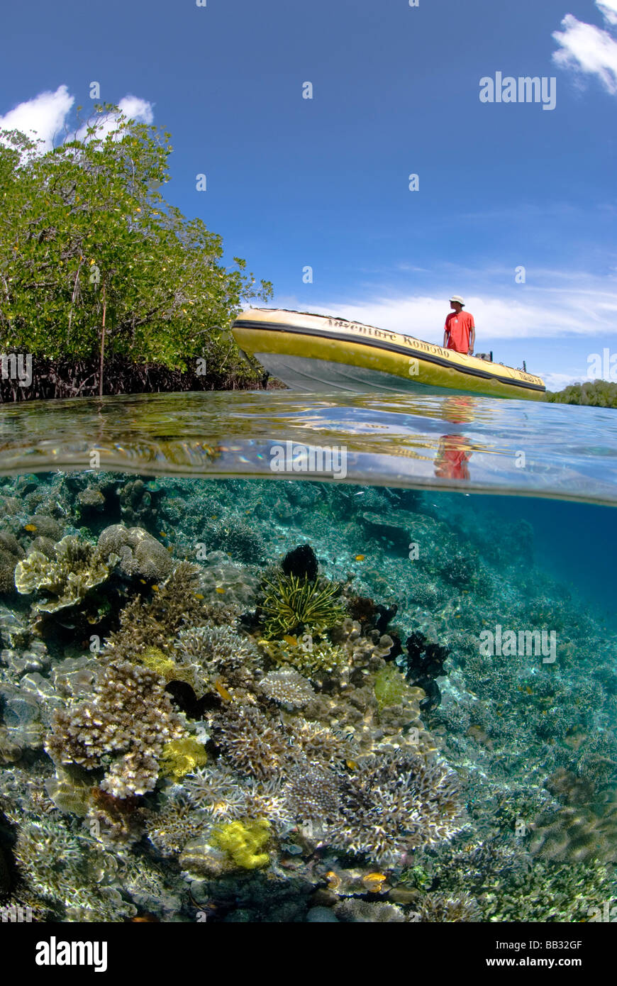 Indian Ocean, Indonesia, Raja Ampat, Misool Islands. Split photo of man ...