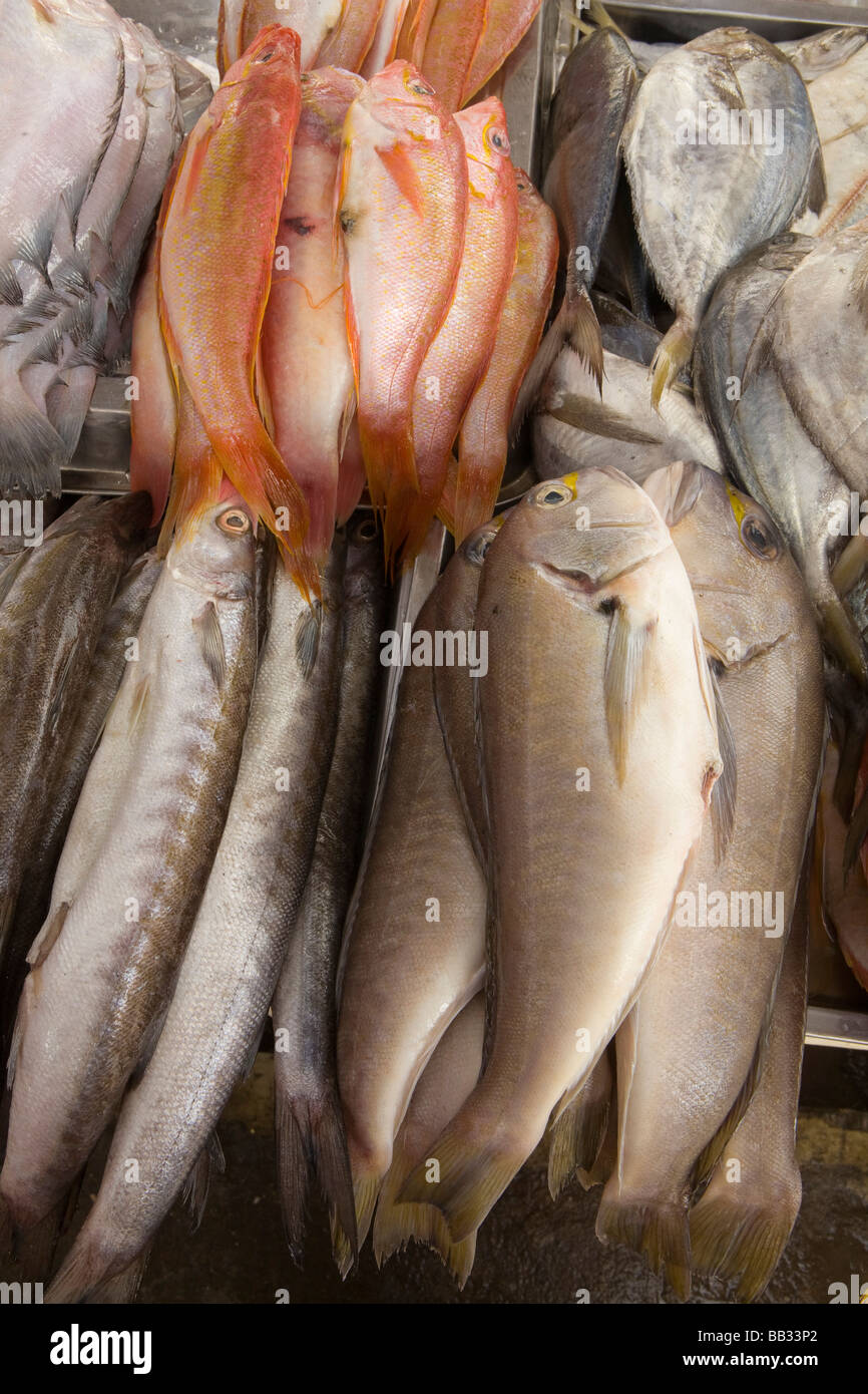 South America, Ecuador, Pujili, fish on display at weekly outdoor food ...