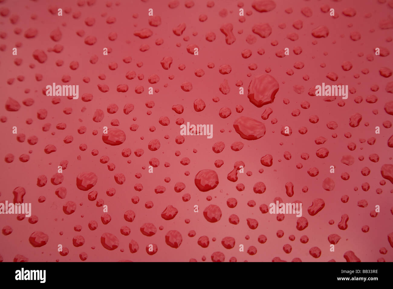 Water droplets on a glossy red painted surface Stock Photo - Alamy
