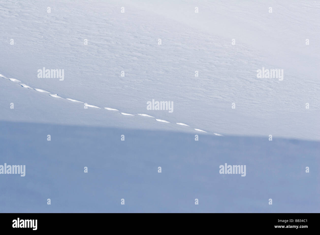 Human tracks hi-res stock photography and images - Alamy