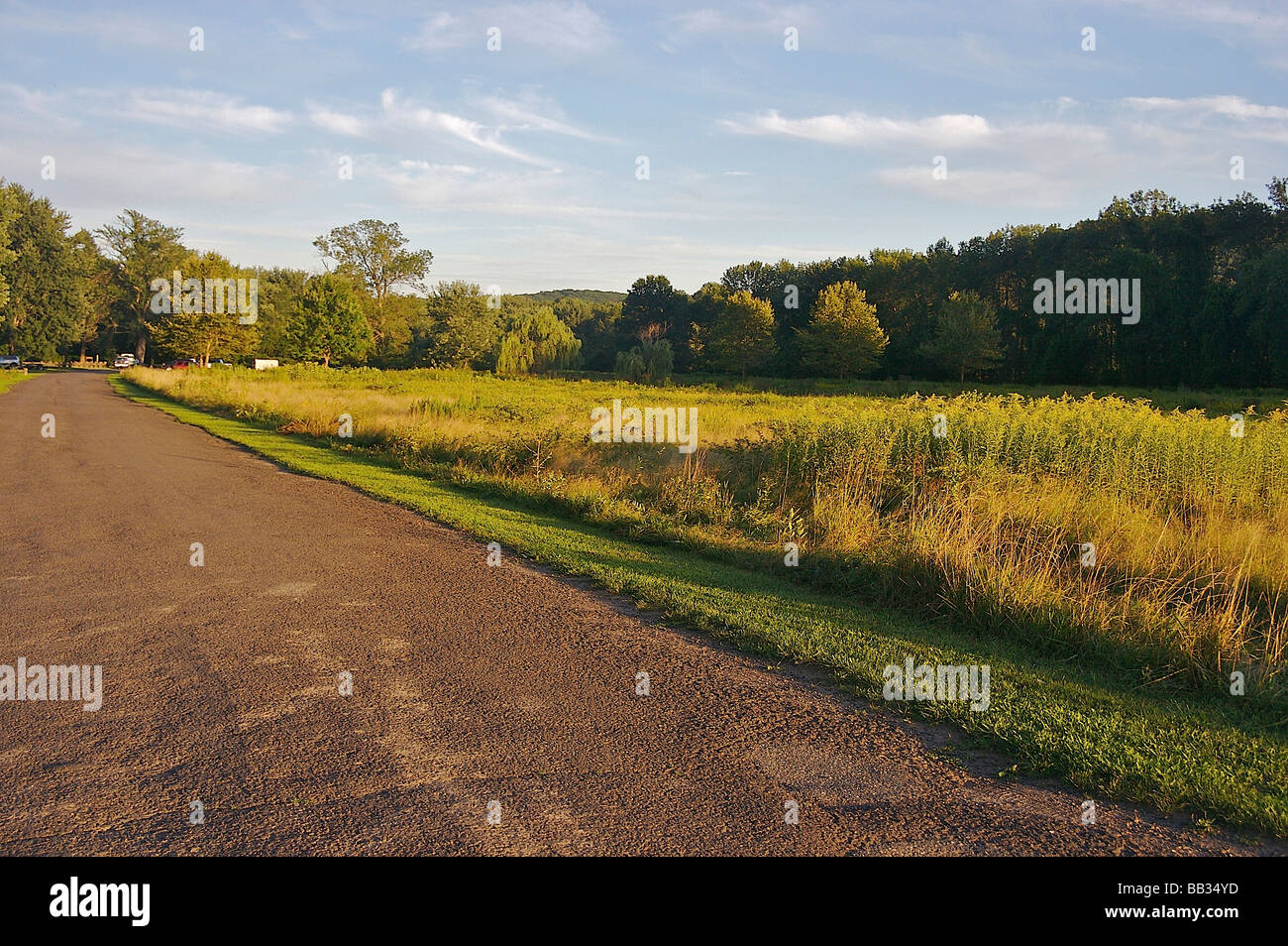 North America, USA, Connecticut. A road through fields and trees, cars ...