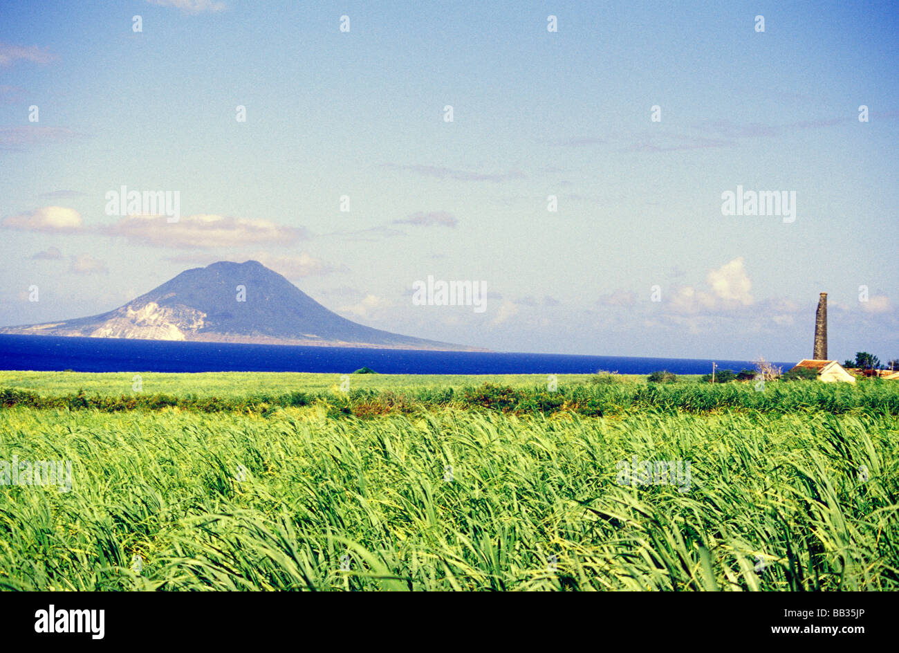Caribbean, St. Kitts. Crops Stock Photo - Alamy
