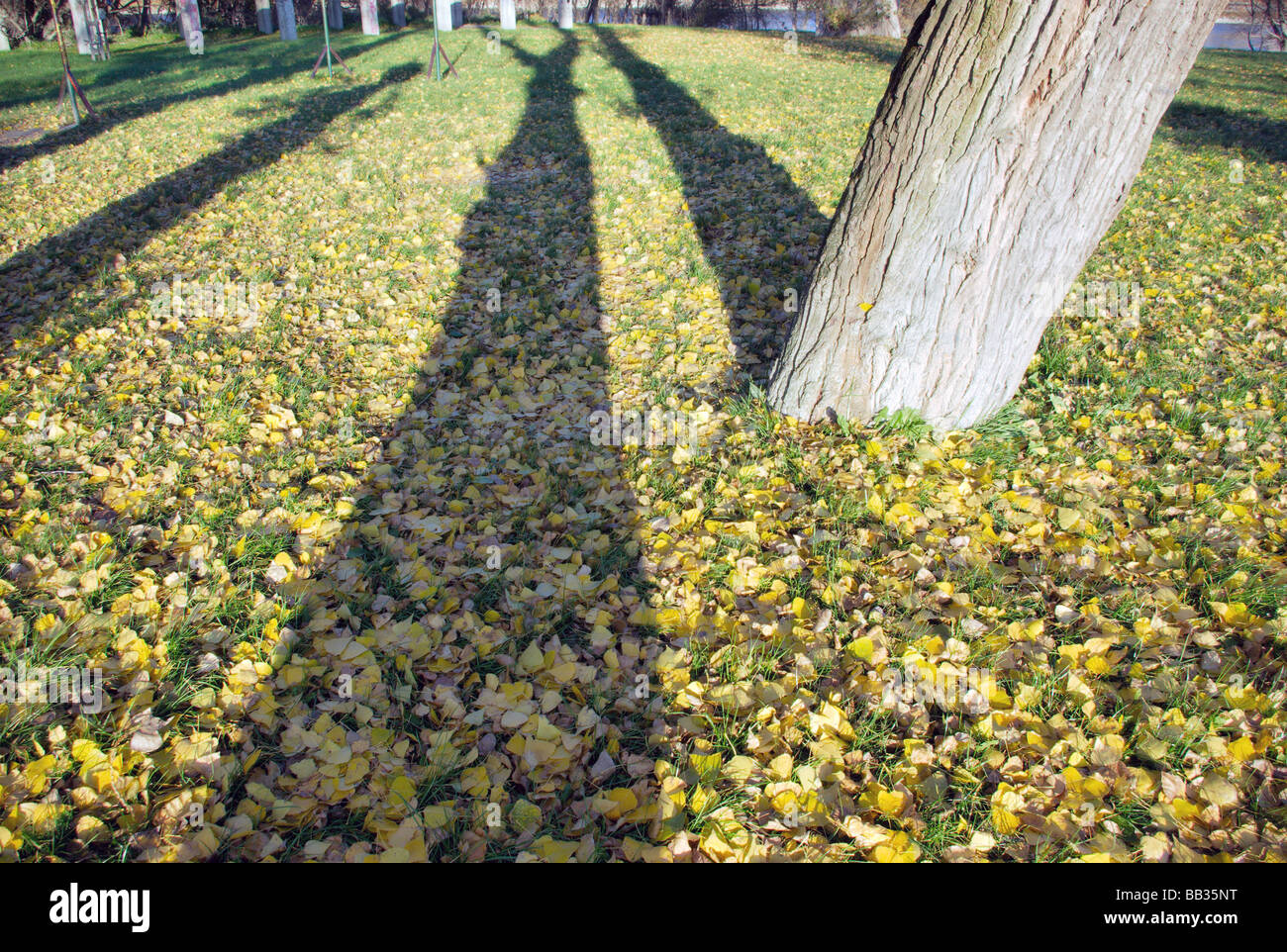 Autumn scene in a park, Szentendre, Hungary Stock Photo - Alamy