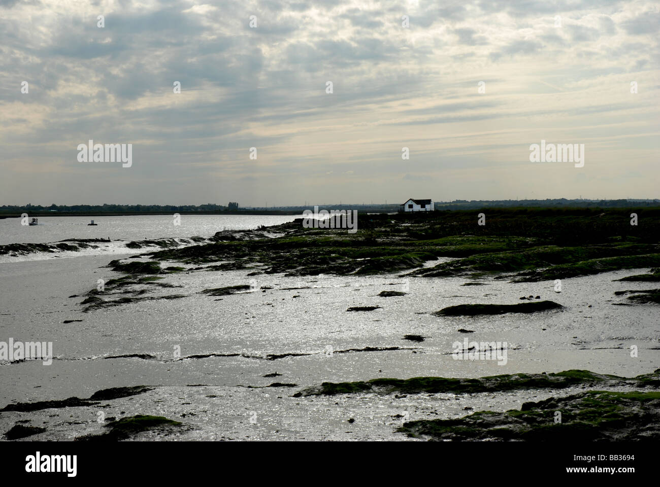 Desolate house at North Fambridge, Essex Stock Photo - Alamy