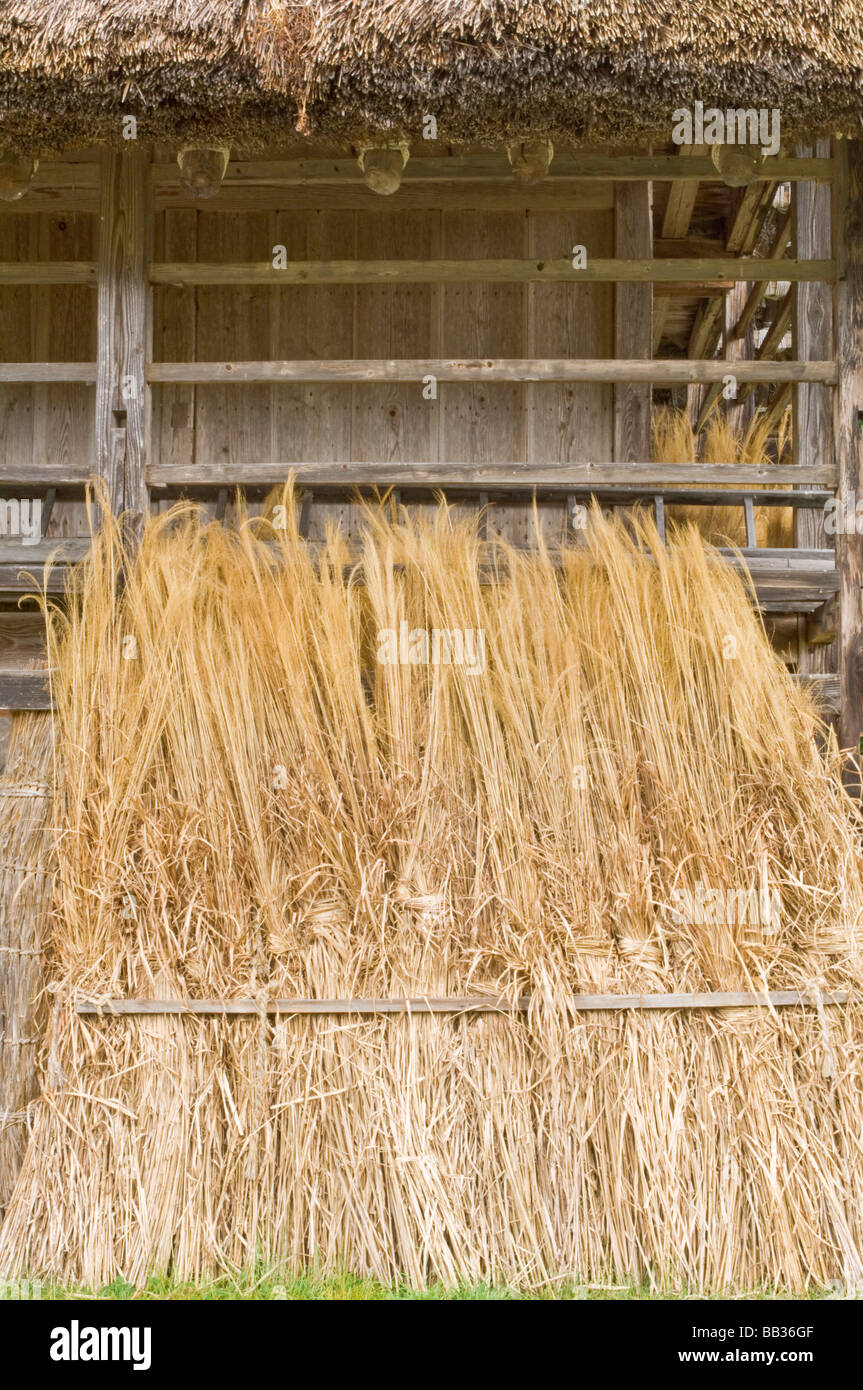 Japan, Gifu, Shirakawago, Traditional Barn Stock Photo - Alamy