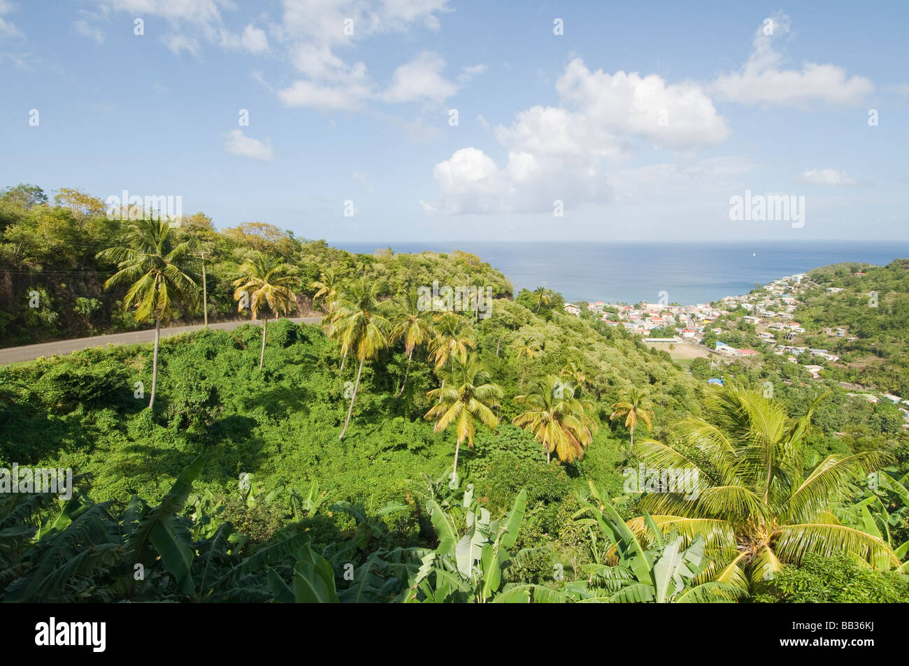Caribbean, St. Lucia, Soufriere. Lush greenery, banana plantations ...