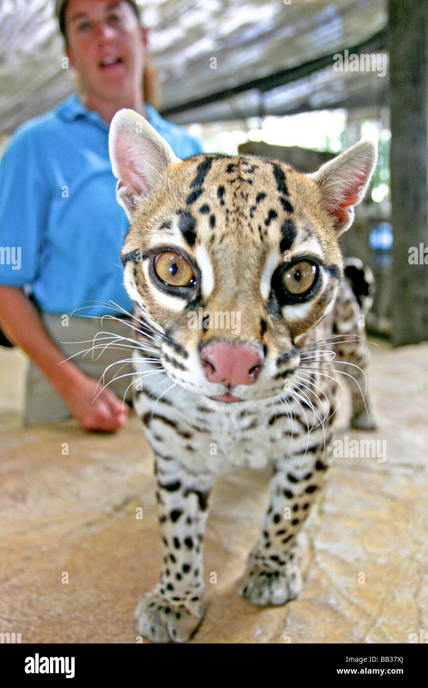 Endangered environment texas hi-res stock photography and images - Alamy