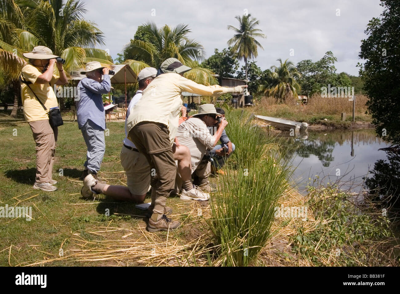 Nariva swamp trinidad hi-res stock photography and images - Alamy