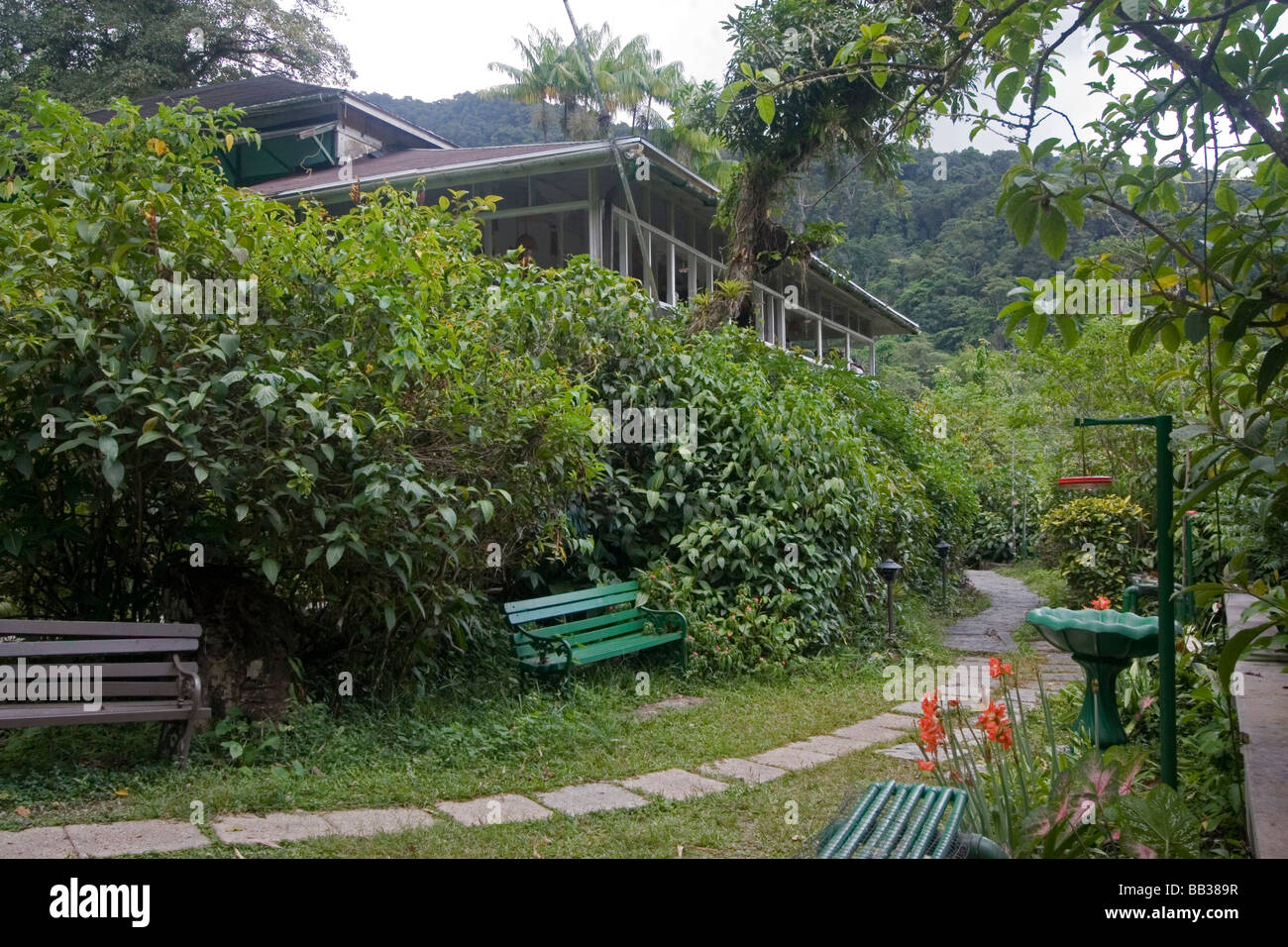 Asa Wright Nature Centre