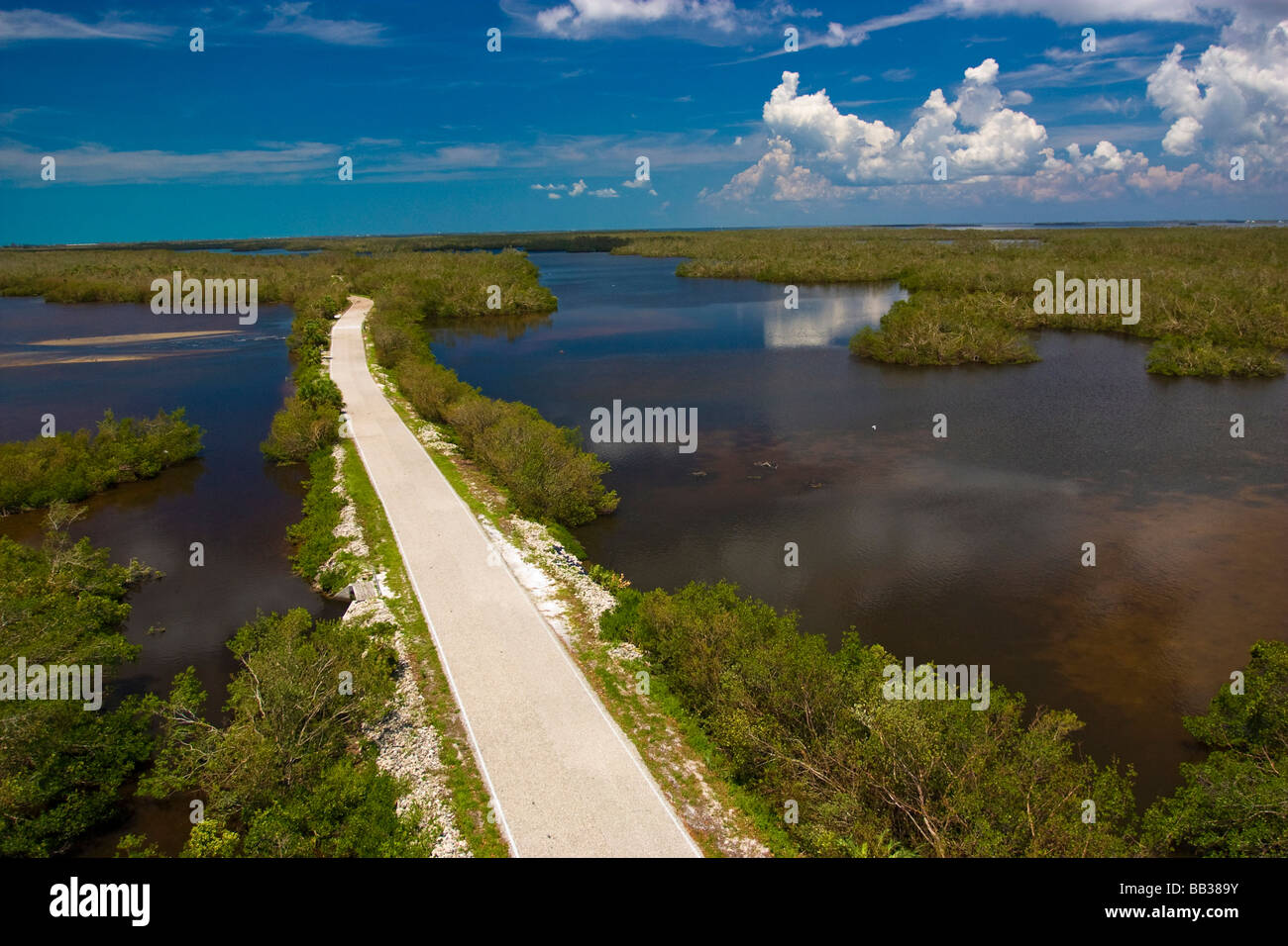 Ding darling national wildlife rescue hi-res stock photography and ...