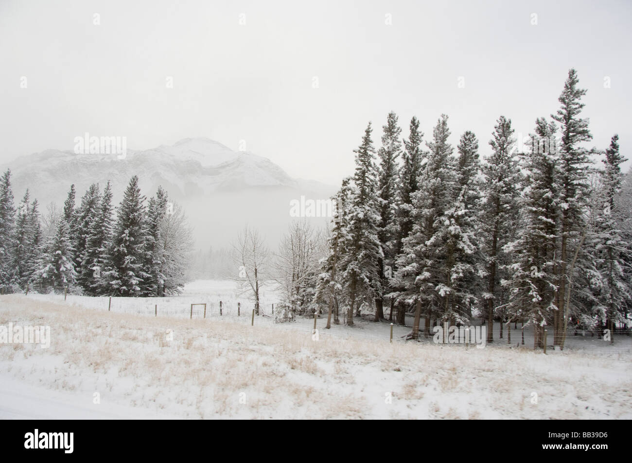 Via rail canada scenic hi-res stock photography and images - Alamy