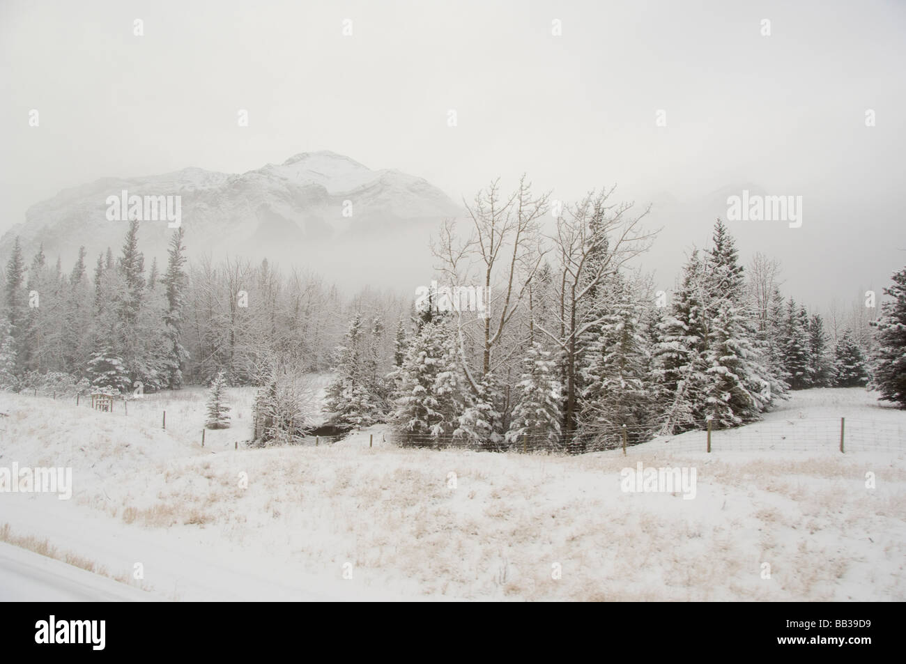 Via rail canada snow train hi-res stock photography and images - Alamy