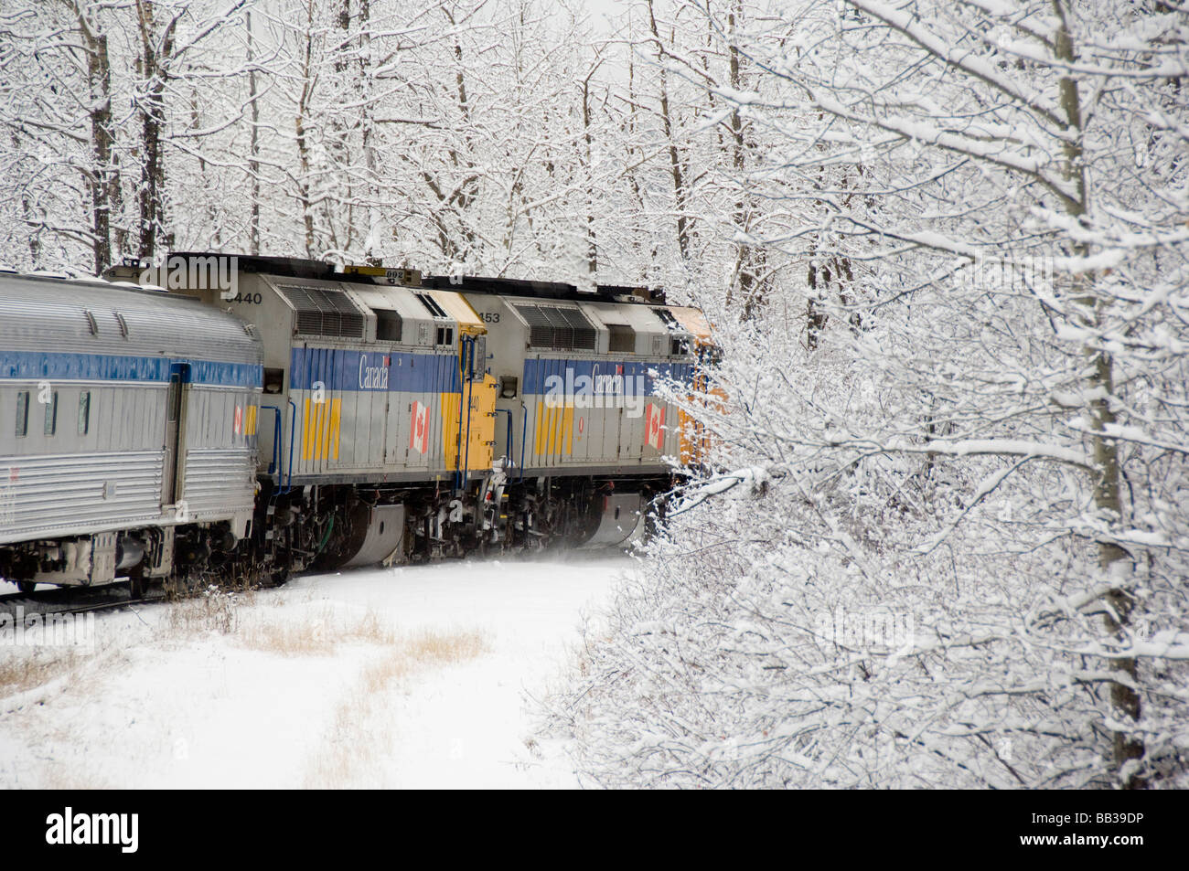 Canada via rail jasper hi-res stock photography and images - Alamy