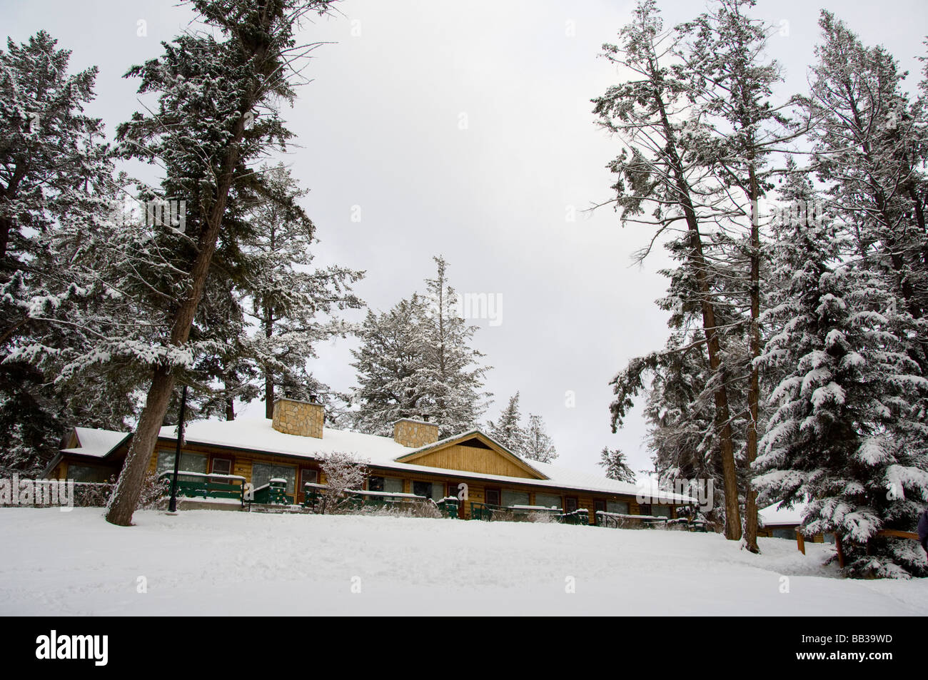 Canada, Alberta, Jasper, Jasper NP. Fairmont Jasper Park Lodge cabins ...