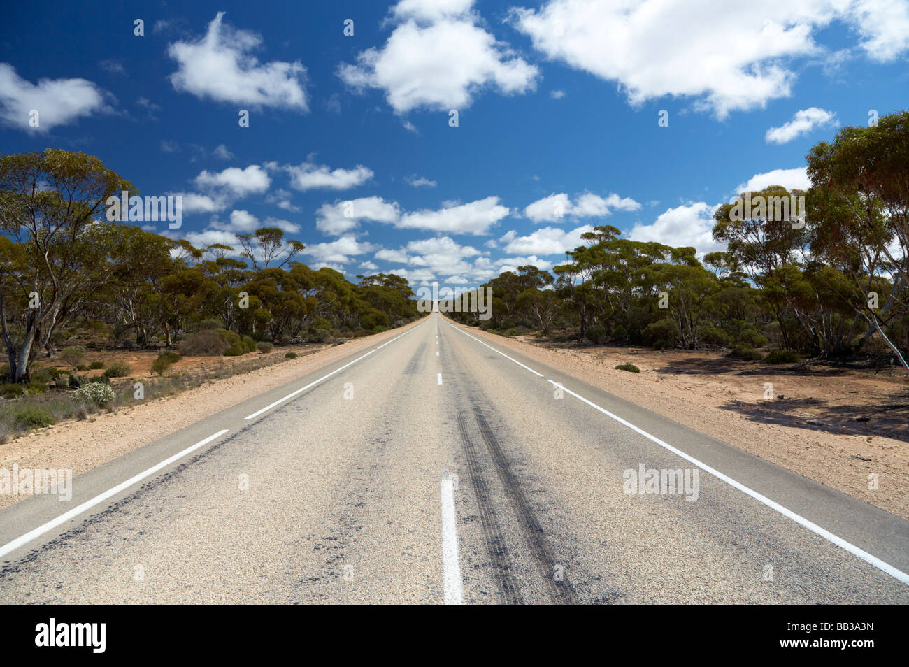 The Erye Highway in South Australia The main road across Southern ...