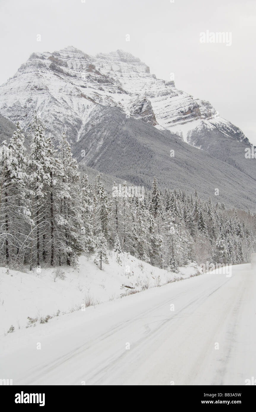 Ice fields parkway and road hi-res stock photography and images - Alamy