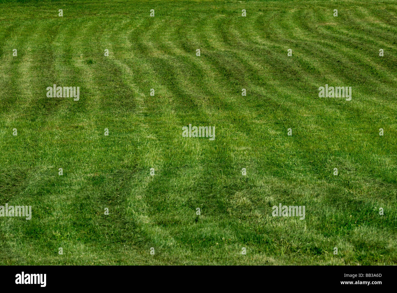 Mower tracks hi-res stock photography and images - Alamy