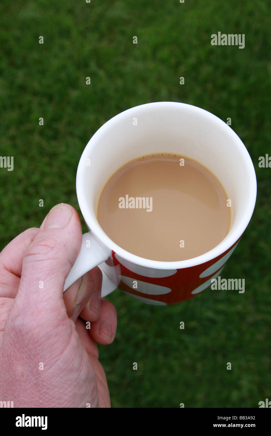 male hand holds spotted mug or cup of tea in left hand with grass below ...
